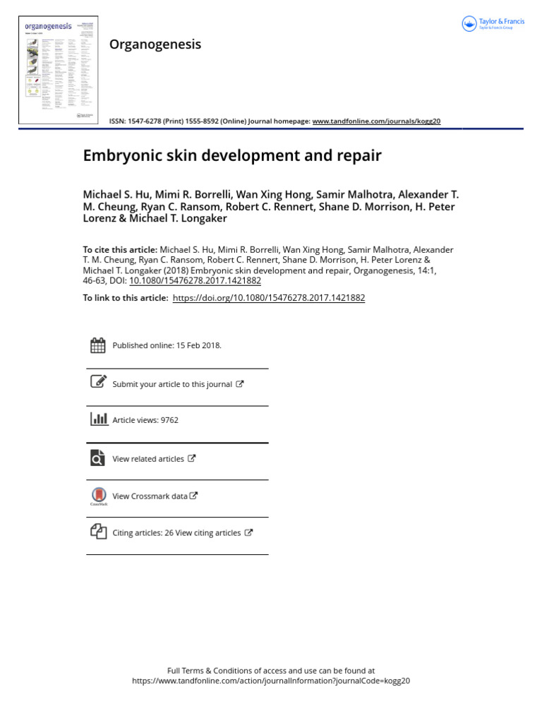 Embryonic Skin Development Insights | PDF | Epidermis | Wound Healing