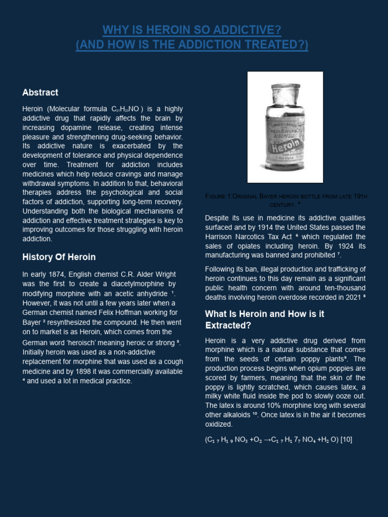 Understanding Heroin Addiction and Treatment | PDF | Heroin | Opioid ...