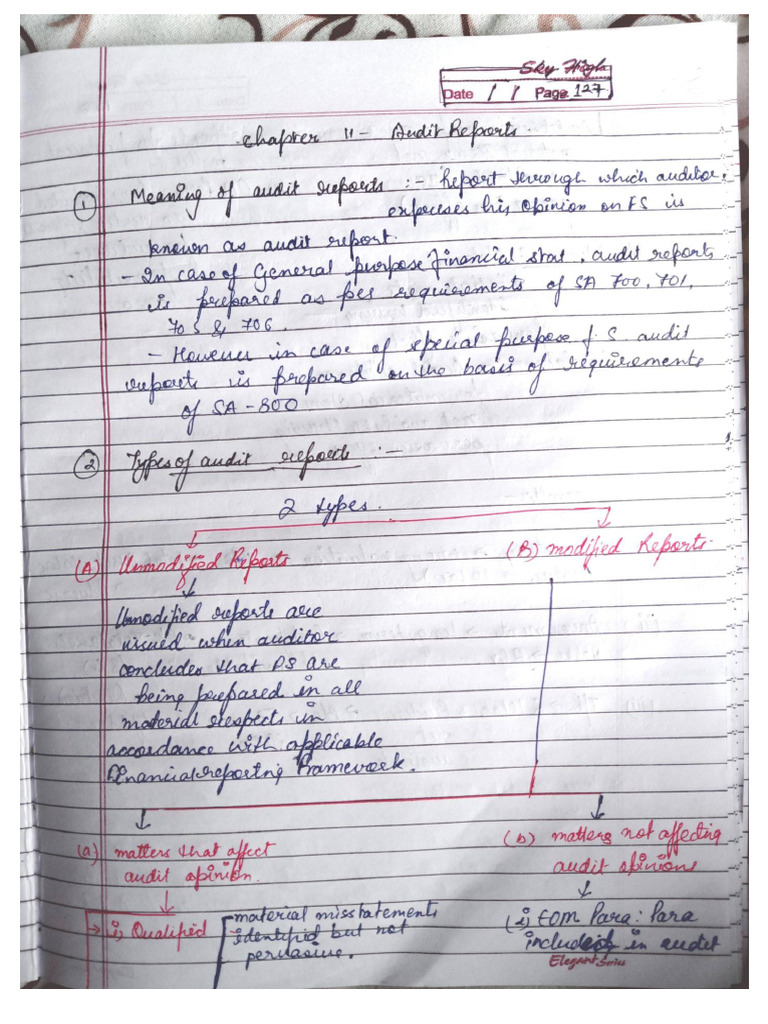 Audit Reports (Chap 11) | PDF