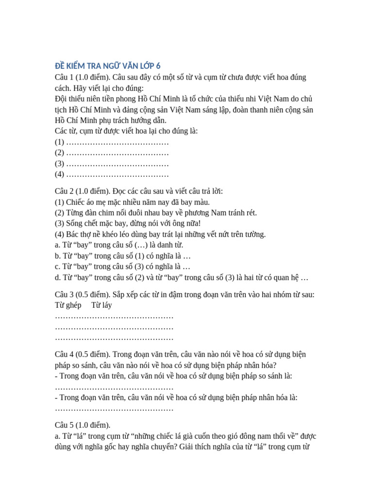 De Kiem Tra Ngu Van 6 | PDF