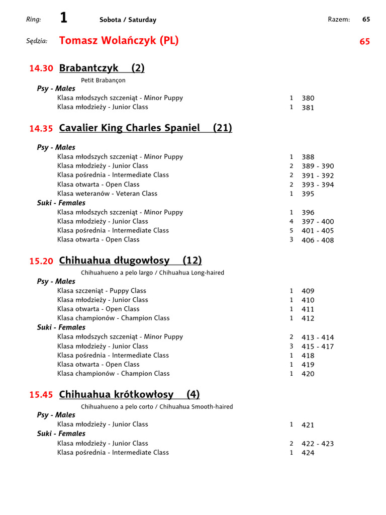 2025 Gniezno POP Plan | PDF