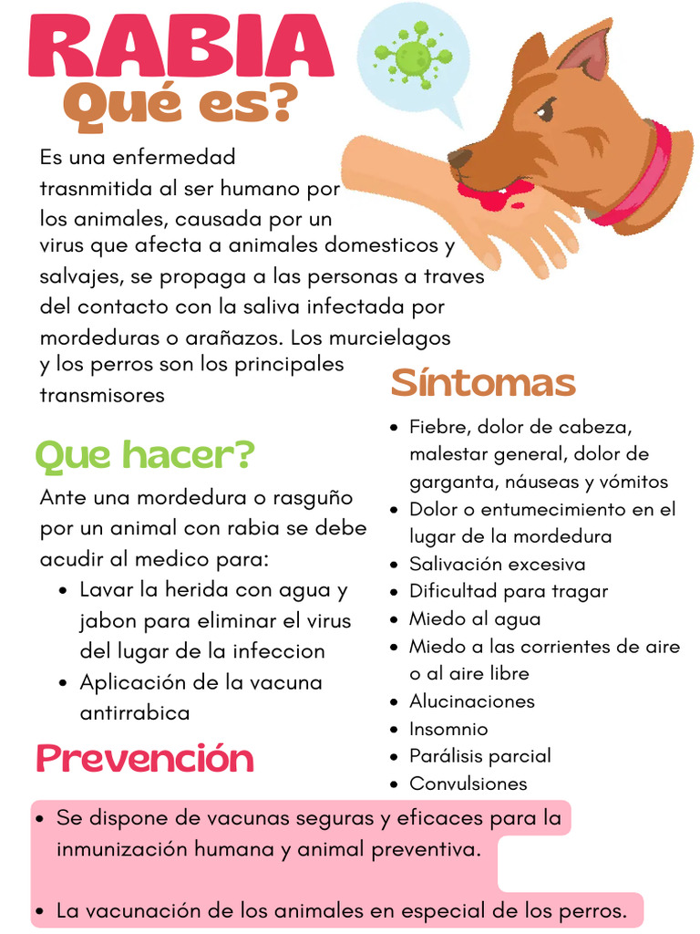 Folleto de Rabia | PDF