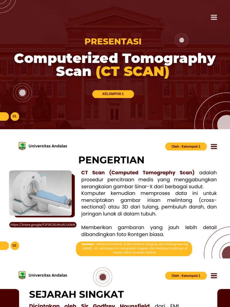 Manfaat dan Risiko CT Scan Medis | PDF