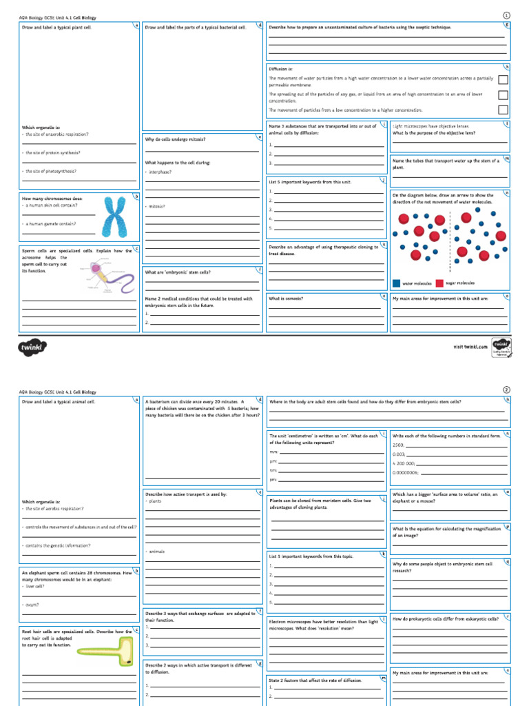 Unit 1 Revision Mat Biology | PDF