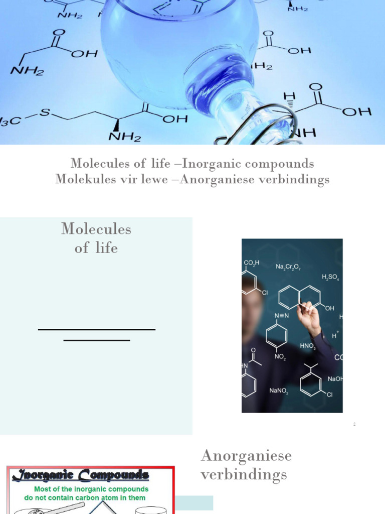 4) 10 - LS - T1 - Molecules of Life - Inorganic Compound - 250526 ...
