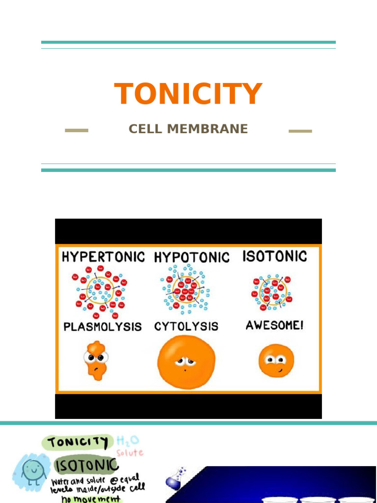 TONICITY | PDF