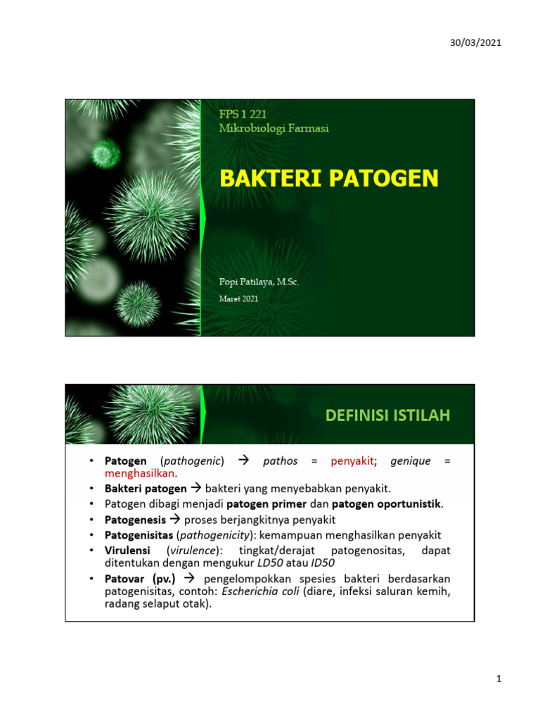 Bakteri Patogen: Definisi dan Mekanisme | PDF