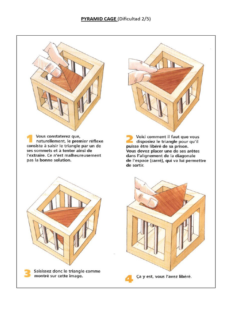 Pyramid Cage | PDF