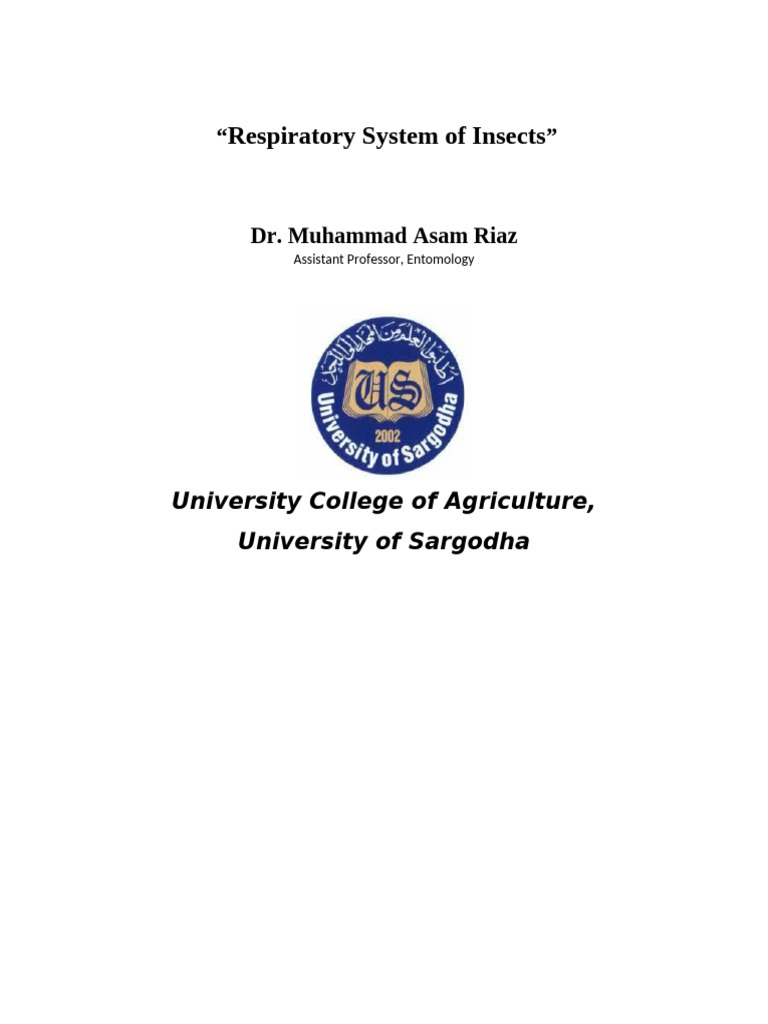 Insect Respiratory Systems Explained | PDF | Gill | Insects
