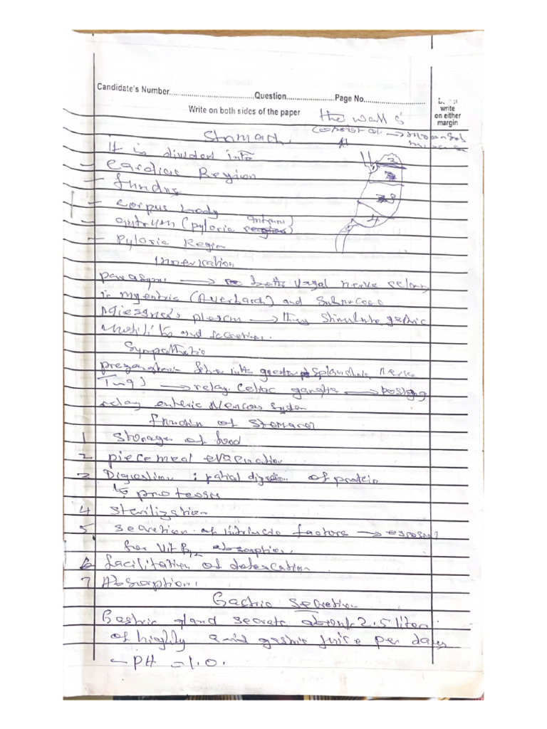 Git PHS 2 | PDF