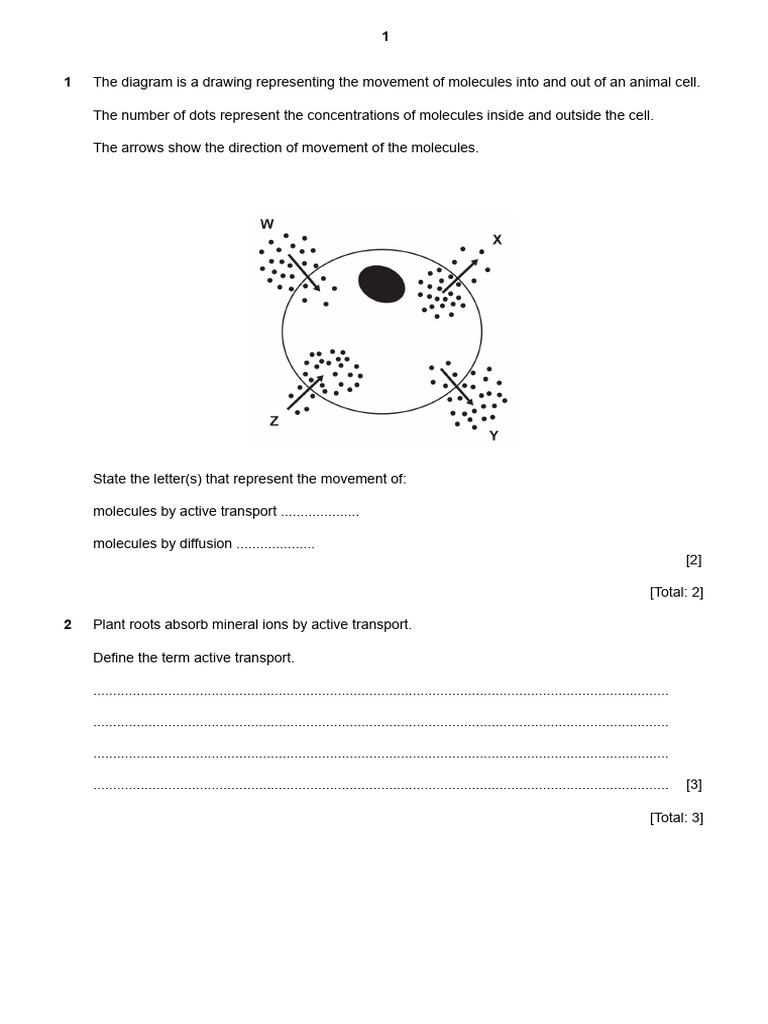 IGCSE Biology Active Transport | PDF | Osmosis | Diffusion