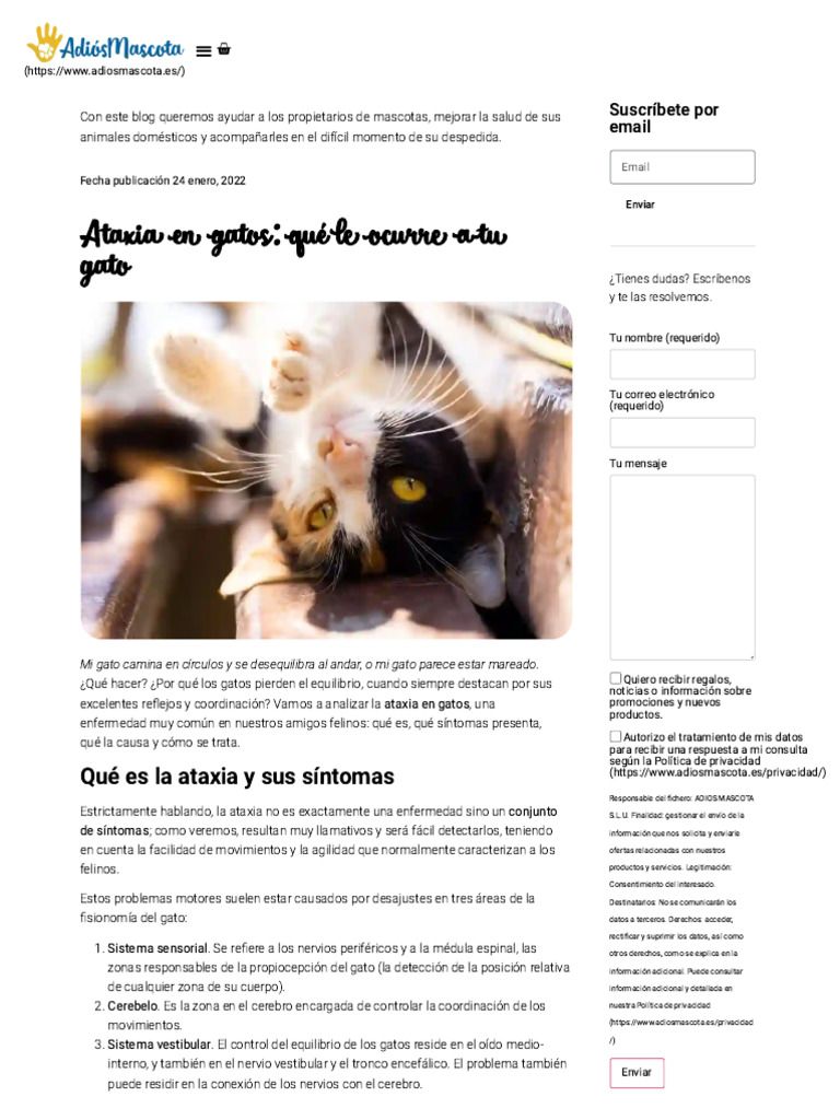Ataxia en Gatos - Qué Le Ocurre A Tu Gato - Adios Mascota | PDF ...