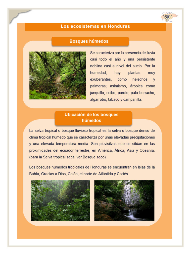 Ecosistemas y bosques de Honduras | PDF | Los bosques | Biogeografia