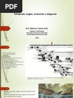 Características de los Sarcopterigios | PDF | Pescado | Vertebrados ...