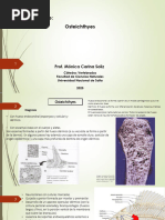 6 Osteichthyes | PDF | Cráneo | Pescado