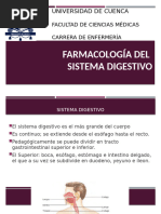 Prospecto DIGERIL | PDF