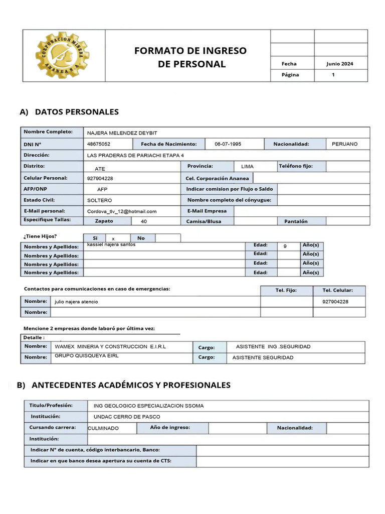 Formato de Ingreso de Personal - 20240604 - 105615 - 0000 | PDF