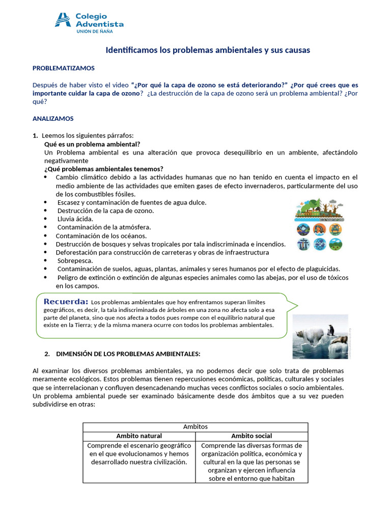 Problemas Ambientales y sus Causas | PDF | Entorno natural | Contaminación