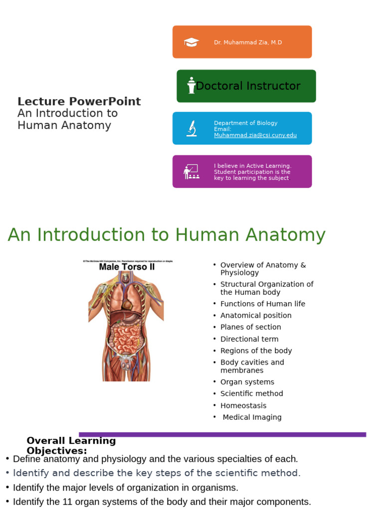 Introduction to Human Anatomy Basics | PDF | Anatomical Terms Of ...