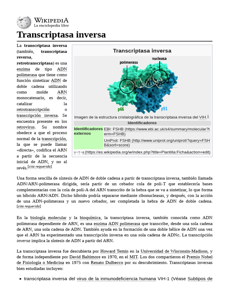 Función y Proceso de la Transcriptasa Inversa | PDF | La transcriptasa ...