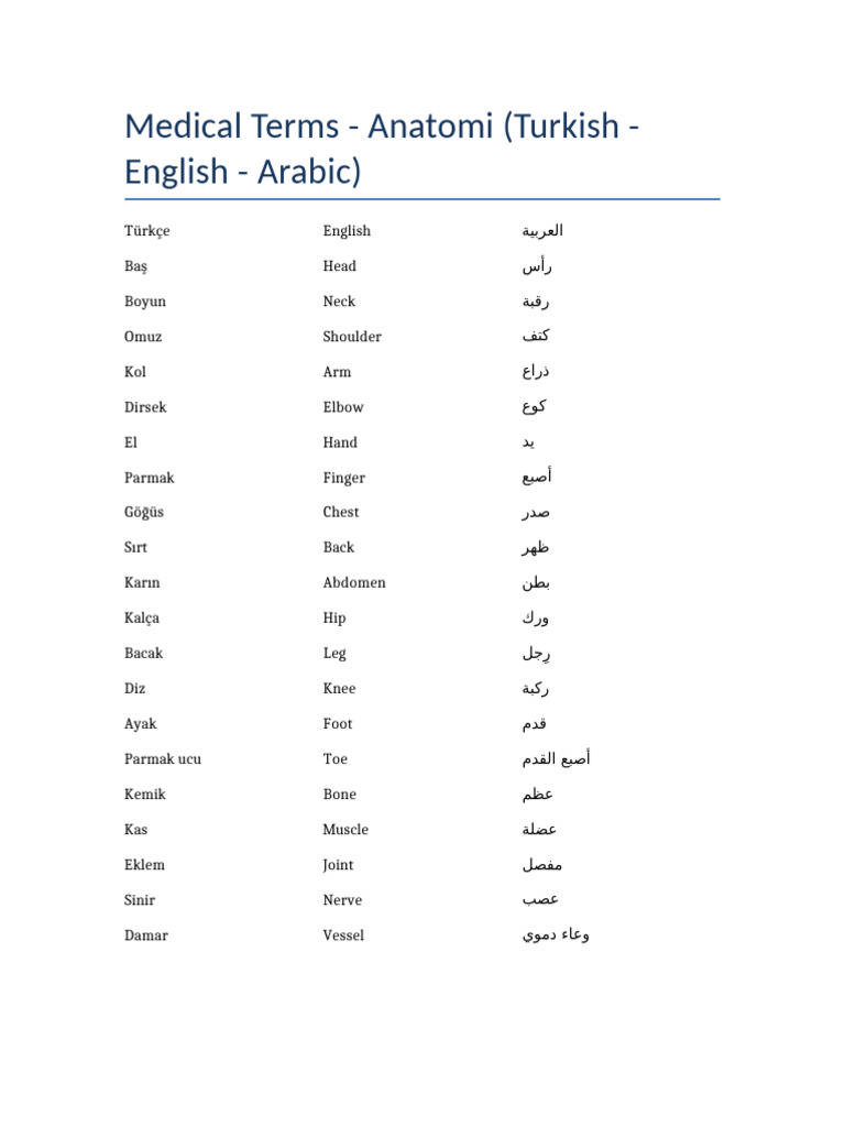 Medical Terms Anatomi | PDF