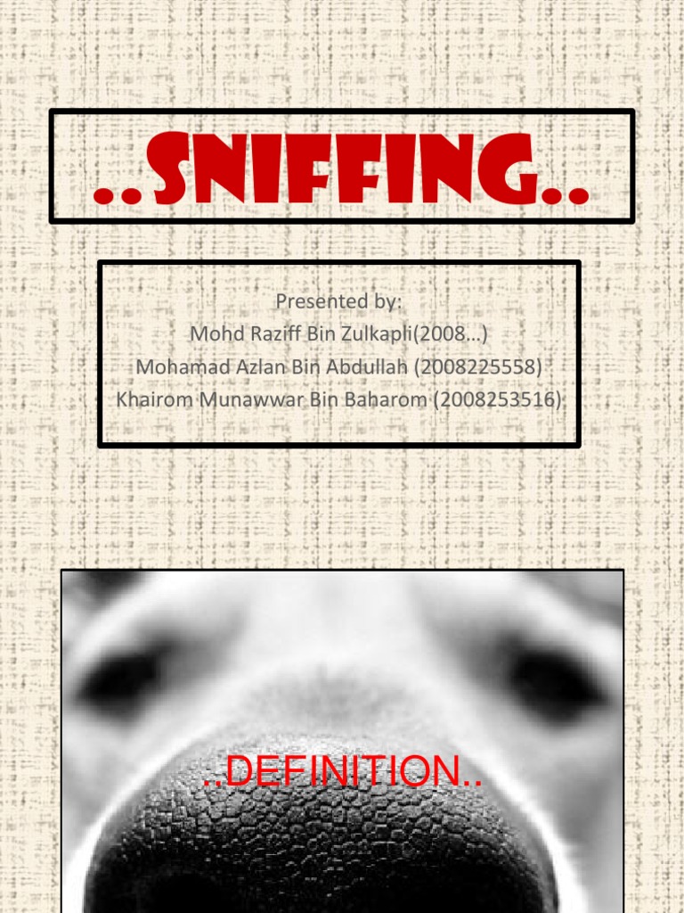 Sniffing Pdf Games Activities Computers