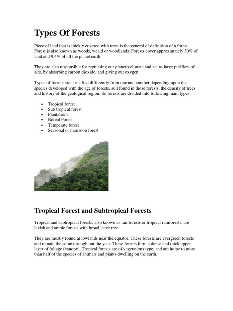 Types of Forests | PDF | Forests | Rainforest
