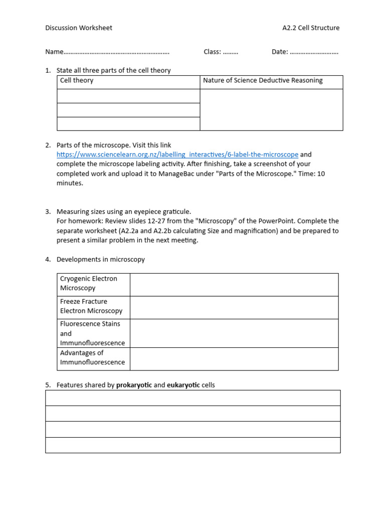 A2.2 Discussion Worksheet | PDF | Cell Nucleus | Microscopy