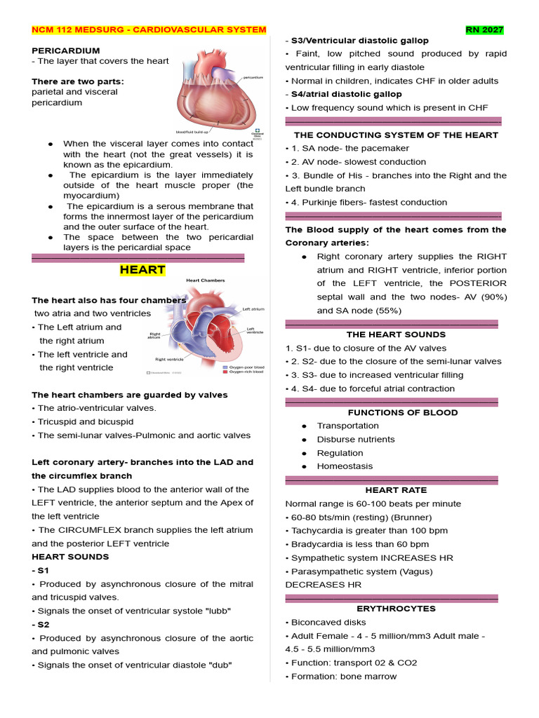 Cardiovascular System Overview for RN 2027 | PDF | Heart | Ventricle ...