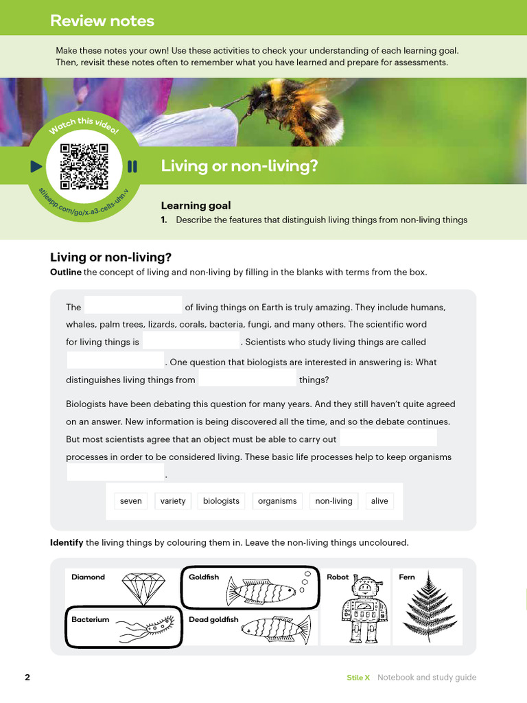 Science Prac Test Living or Non-Living | PDF | Life | Biology
