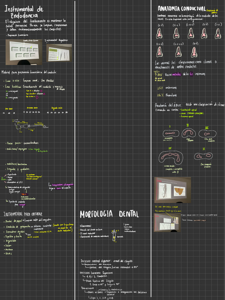 Endo | PDF | Odontología | Boca