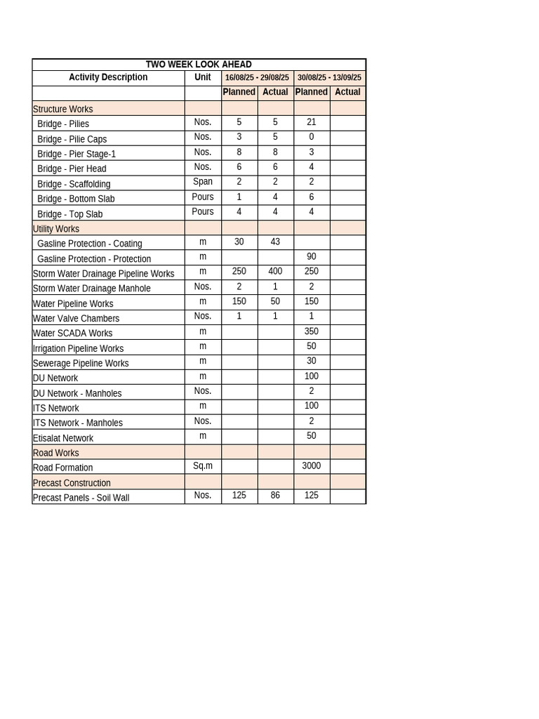 Two Week Look Ahead | PDF