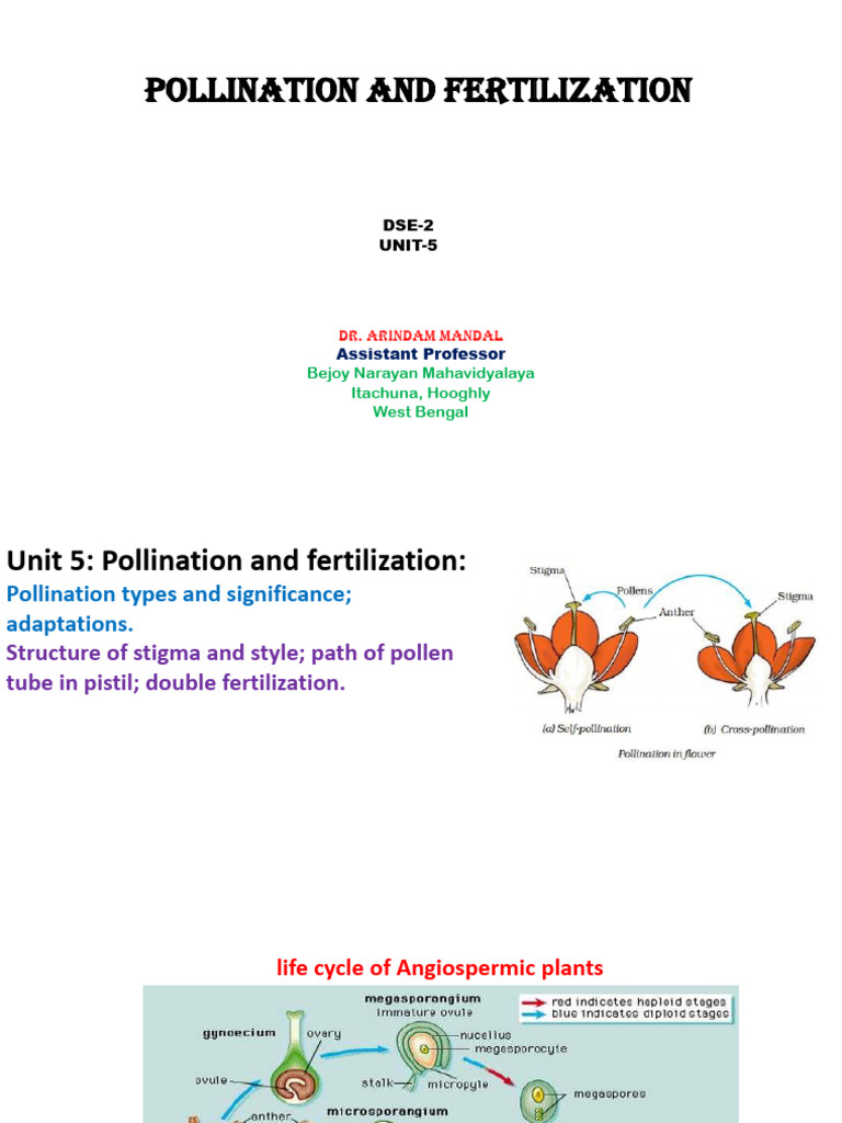 Unit 5 Pollination and Fertilization | PDF | Pollination | Flowers