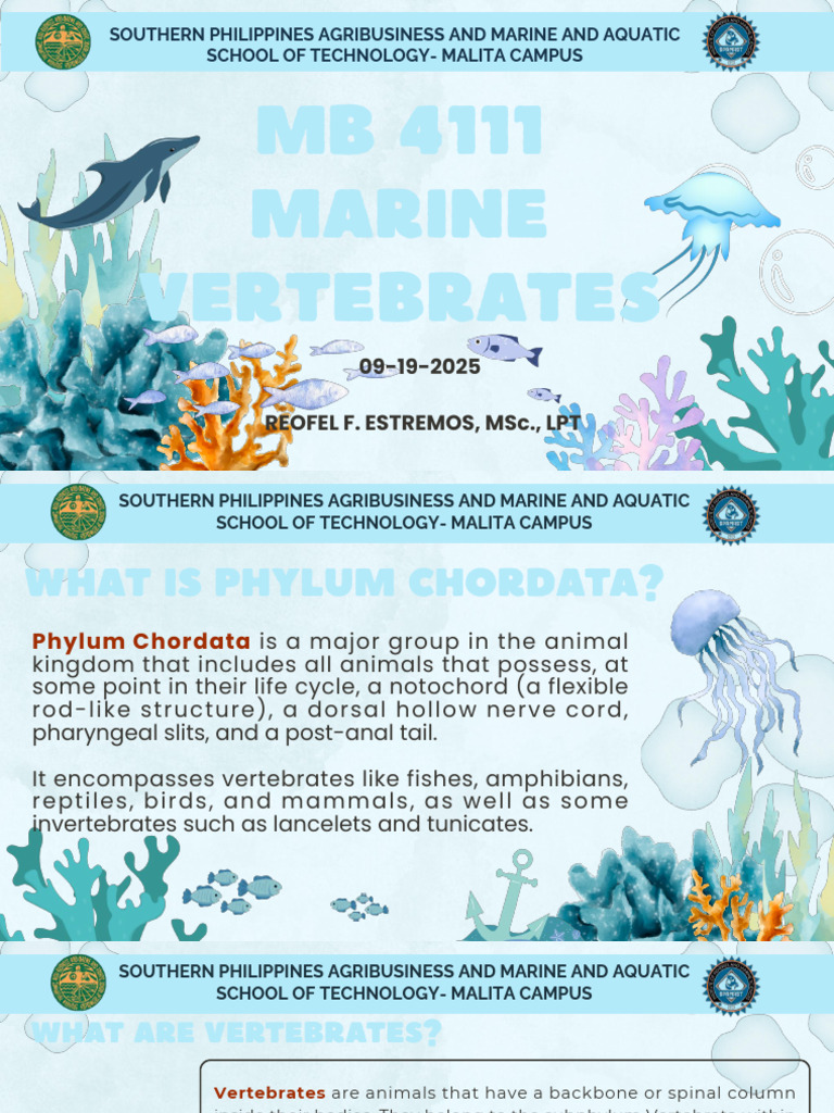 Lesson 3 Taxonomic Classification of Chordates | PDF | Amphibian | Reptile