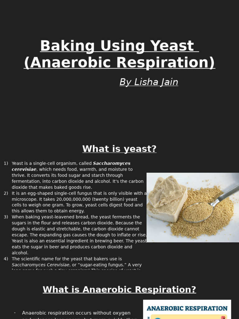 Yeast: Anaerobic vs. Aerobic Respiration | PDF | Yeast | Cellular ...