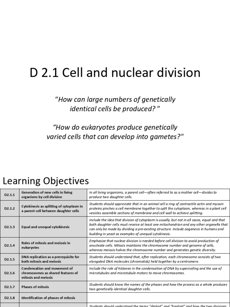 Understanding Nuclear Division | PDF | Meiosis | Mitosis