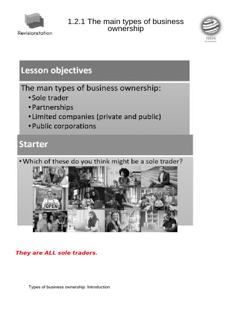 Types of Business Ownership Overview | PDF | Partnership | Public Company
