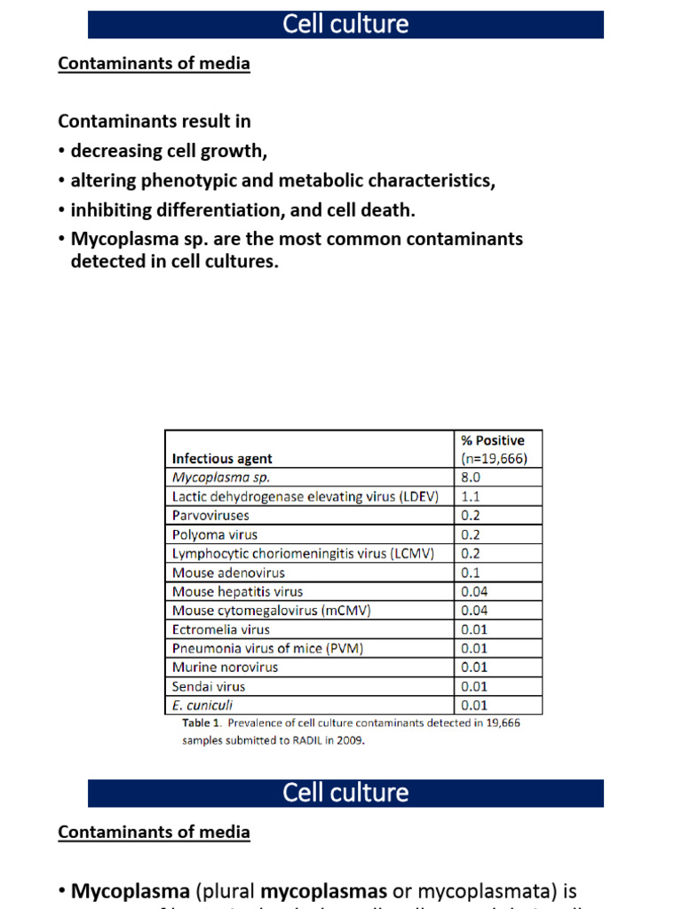Mycoplasma Contamination in Cell Culture | PDF | Sterilization ...