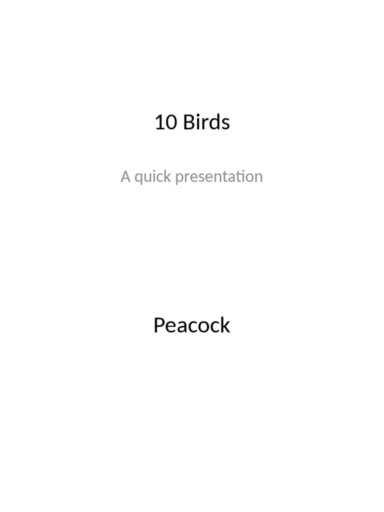 10 Birds Presentation | PDF