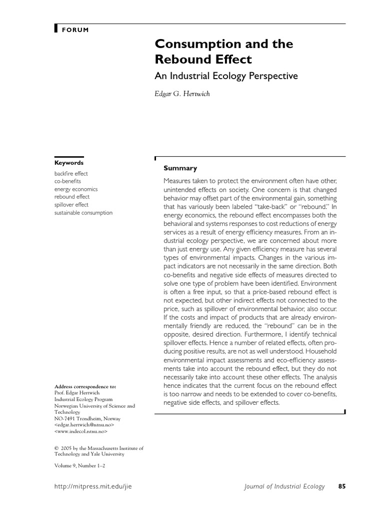 Rebound Effect in Sustainable Consumption | PDF | Factors Of Production ...
