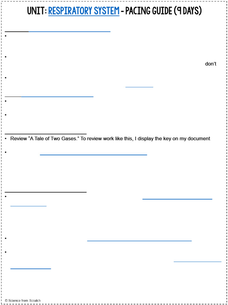 Respiratory System Scavenger Hunt Respiratory System Scavenger Hunt ...