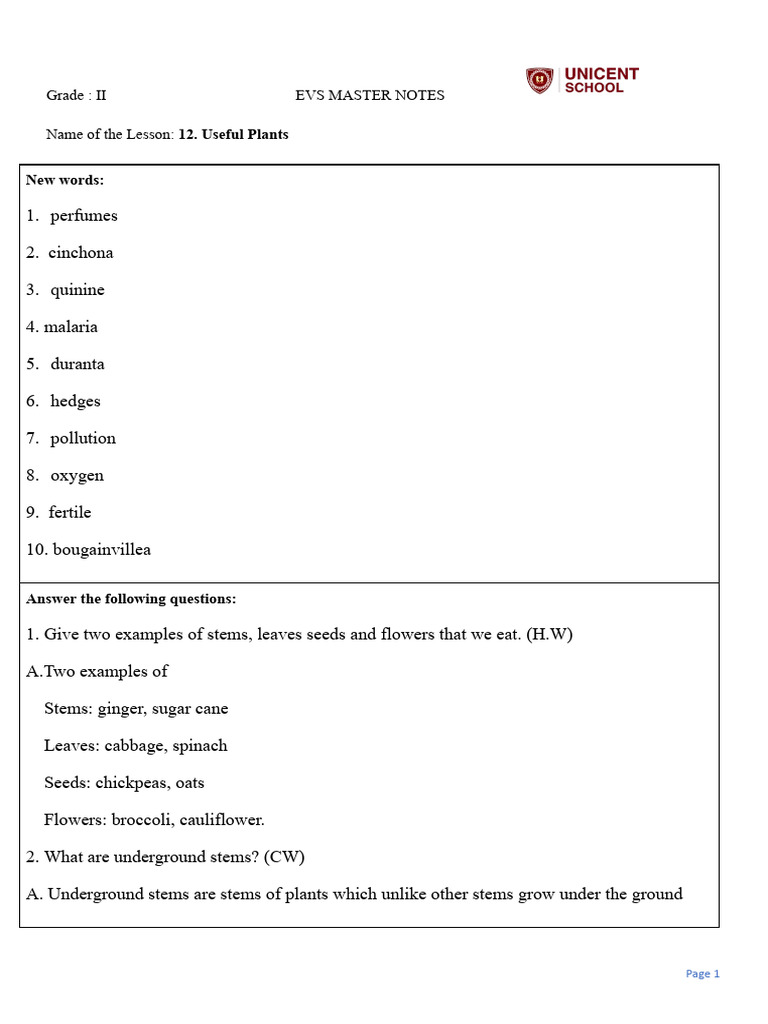 Useful Plants: Benefits and Examples | PDF