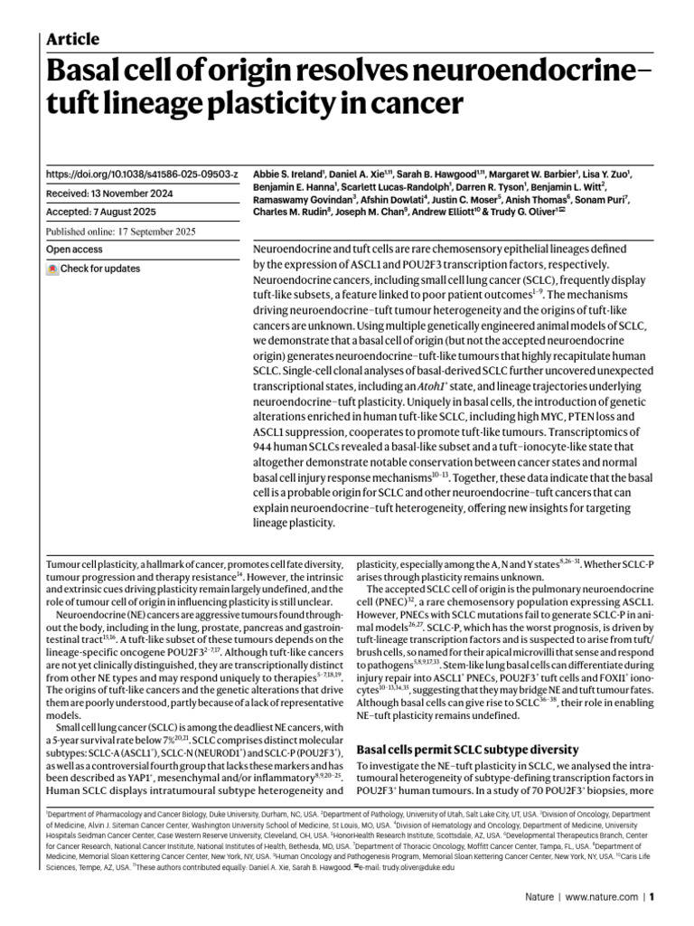 Basal Cell of Origin Resolves Neuroendocrine-Tuft Lineage Plasticity in ...