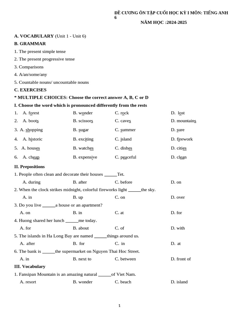 flatten-LTV DE CUONG ANH 6 - CK1 2024-2025 97217 | PDF