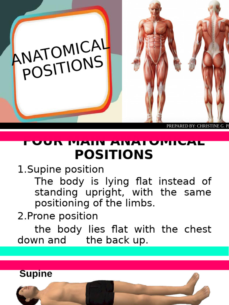 Pathfit 1 Week 2 | PDF | Anatomical Terms Of Motion | Anatomical Terms ...