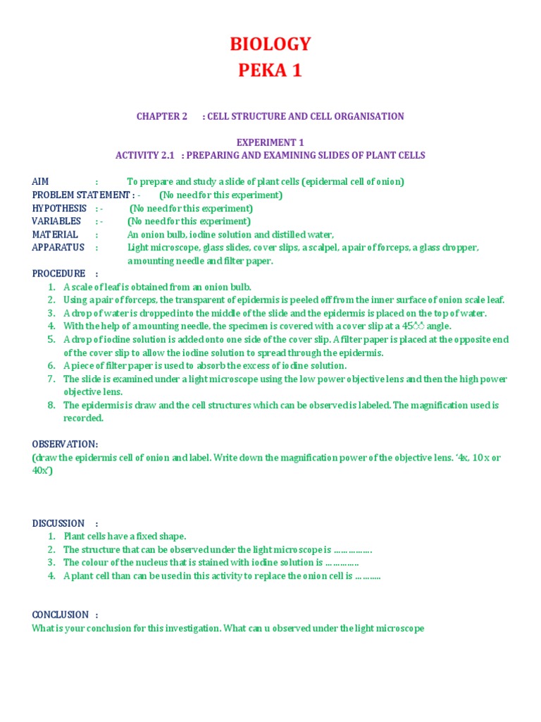 Peka 1 (Animal and Plant Cell) | PDF | Microscopy | Optics