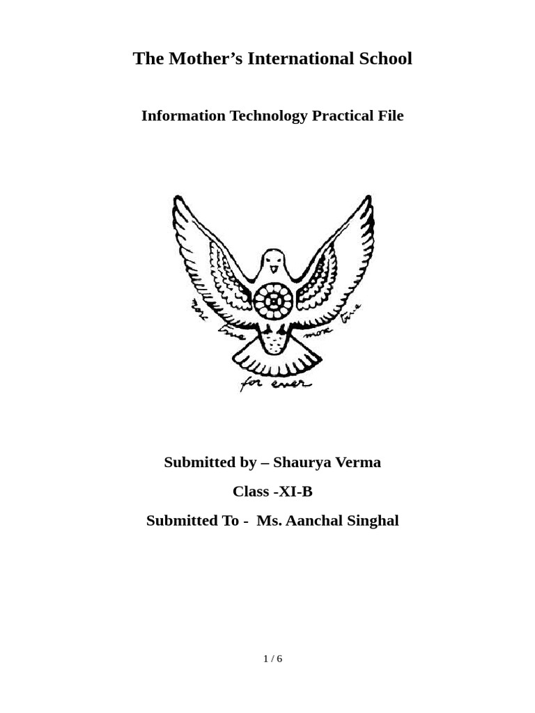 It Practical File Final | PDF