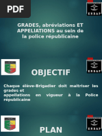 Codes Radio de la Police Nationale | PDF | Crimes | Crime et violence