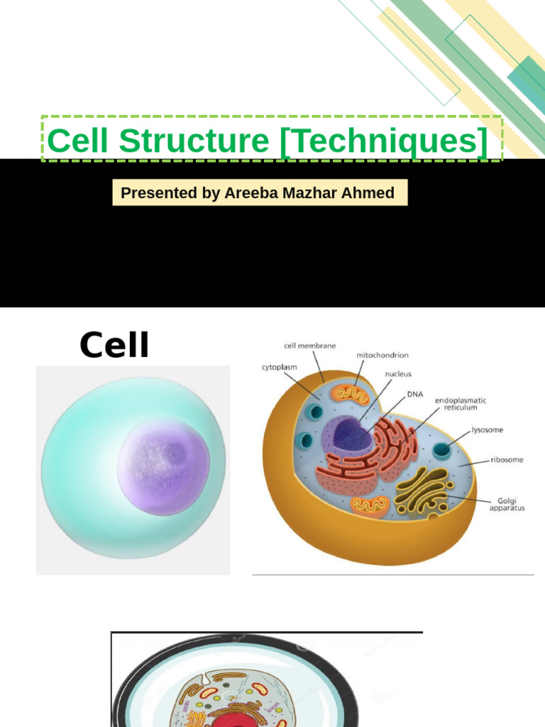 Hemogenization in Cell Fractionation | PDF
