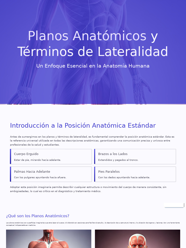 Términos de Lateralidad en Anatomía | PDF | Términos anatómicos de ...